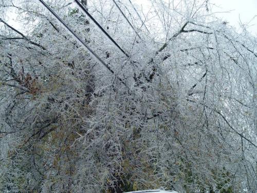 Ice Storms and Freezing Rain – SERCC