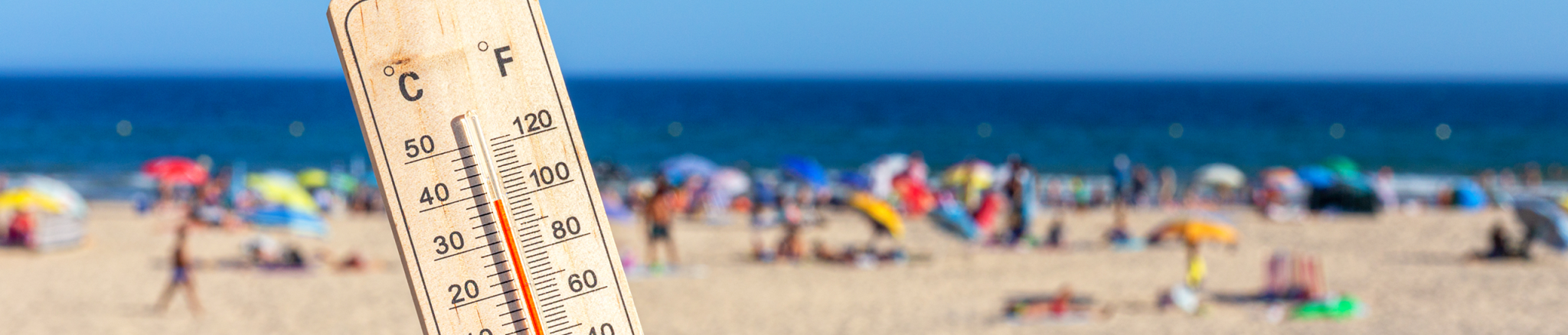 WBGT Heat Mapping Project – SERCC